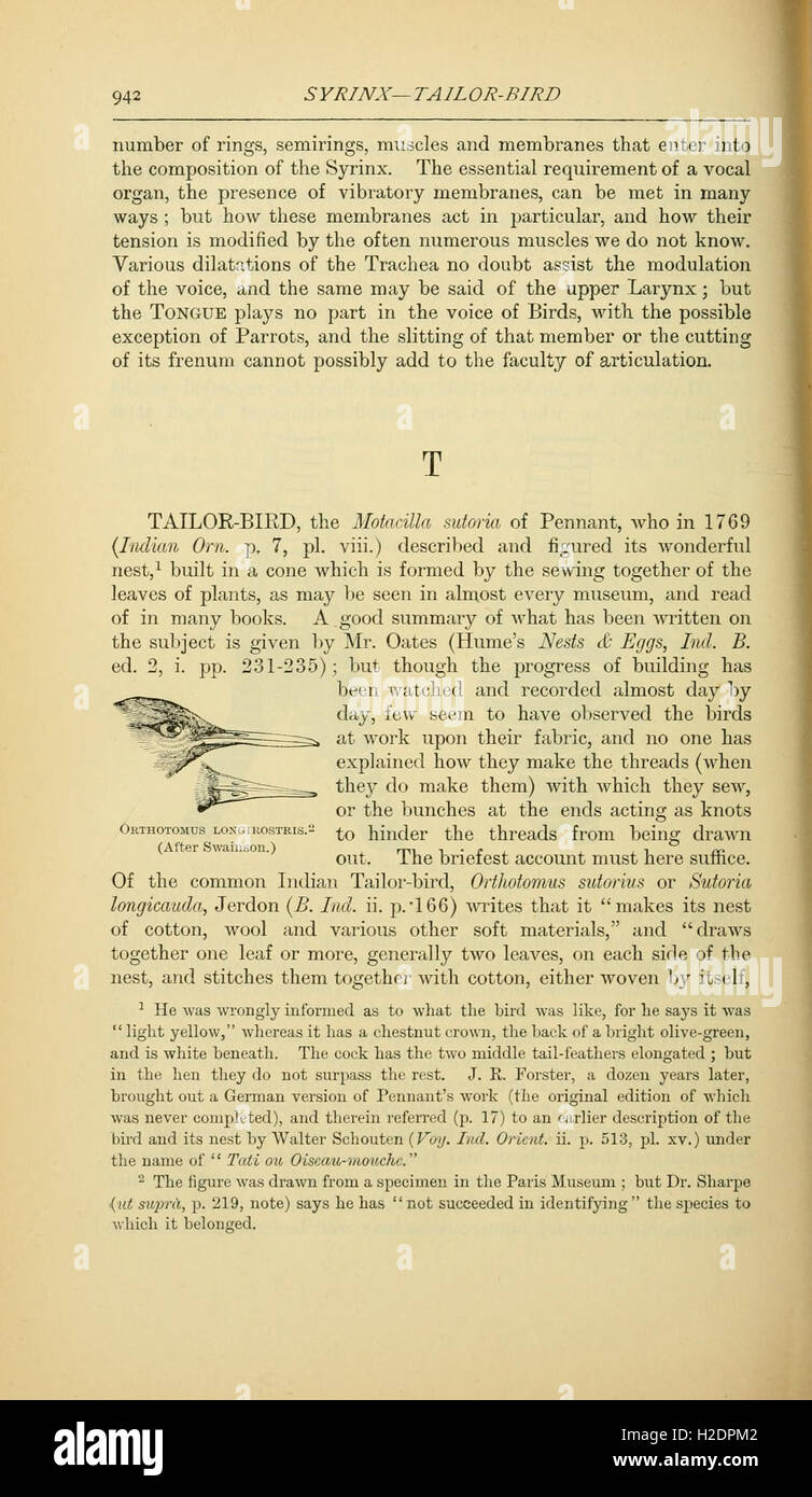 This dictionary provides comprehensive descriptions and classifications ...