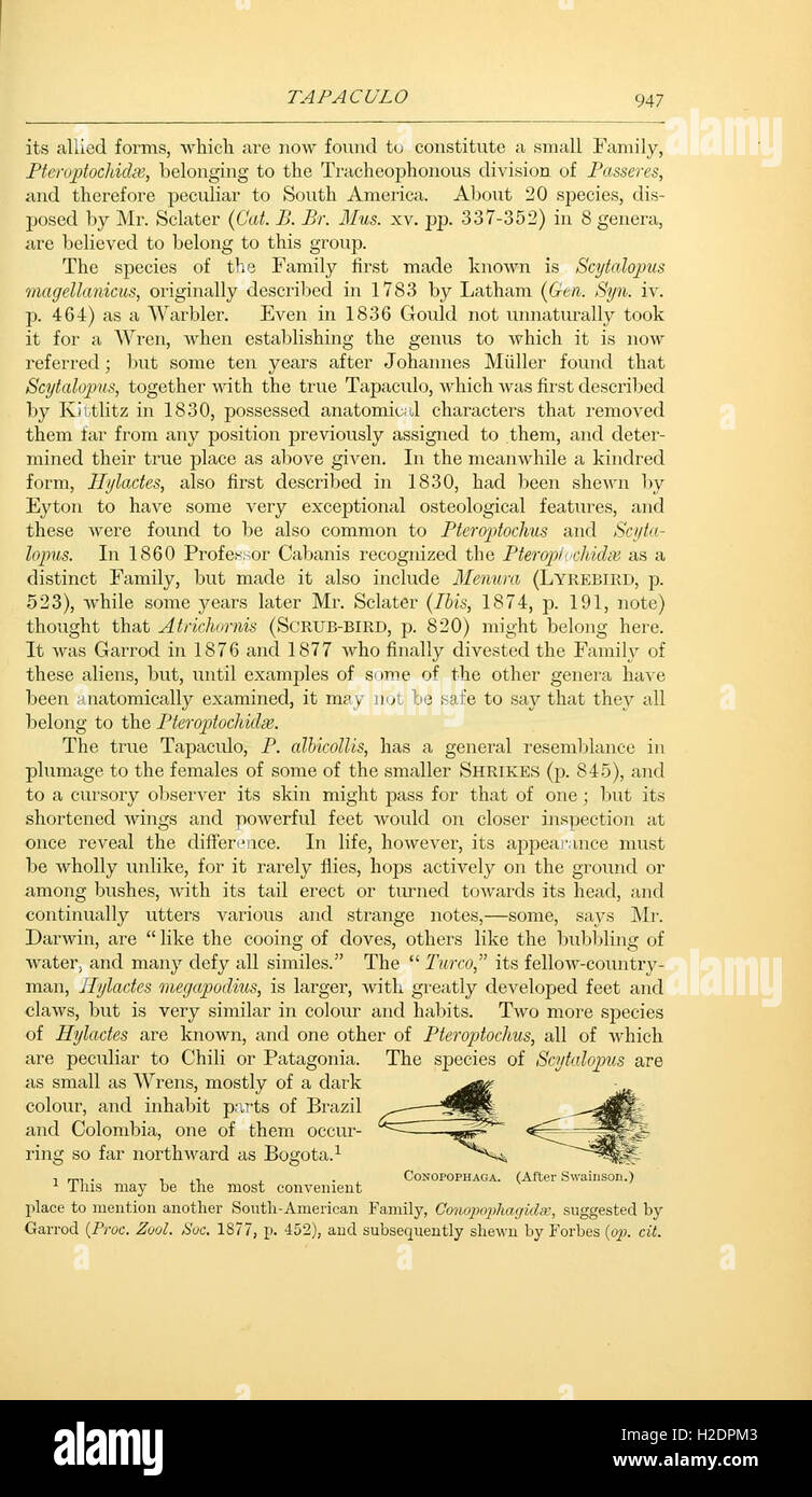 This page from 'A Dictionary of Birds' provides detailed descriptions ...