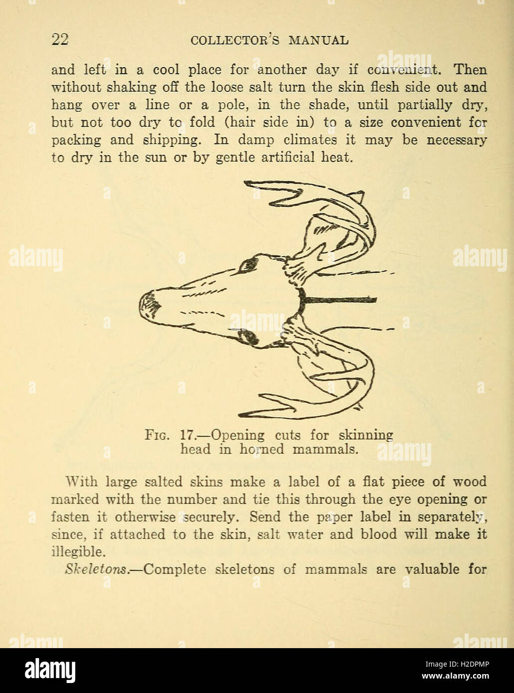 A practical manual for field collectors in natural history, offering ...