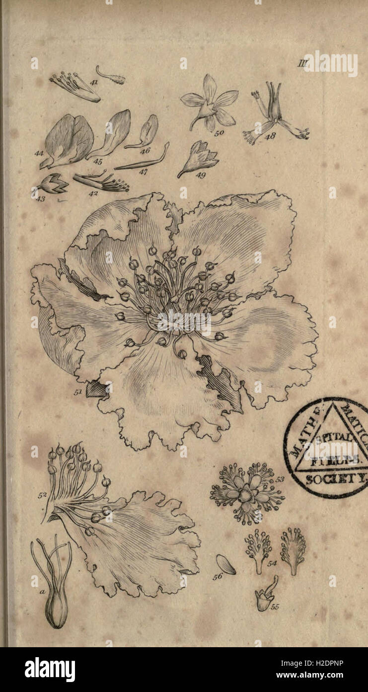 This botanical guide presents the principles of plant classification ...