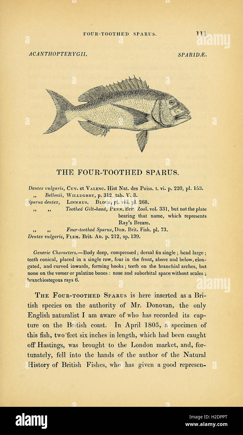 This page from 'A History of British Fishes' provides detailed ...