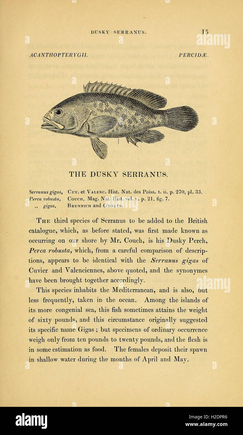A comprehensive study of British fish species, detailing their ...