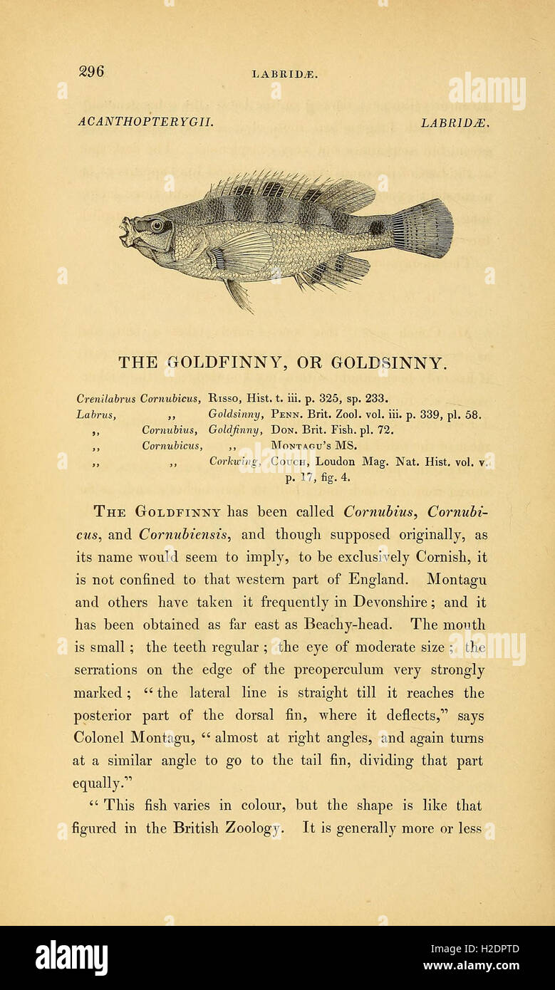 A comprehensive history of fish species in British waters, focusing on ...