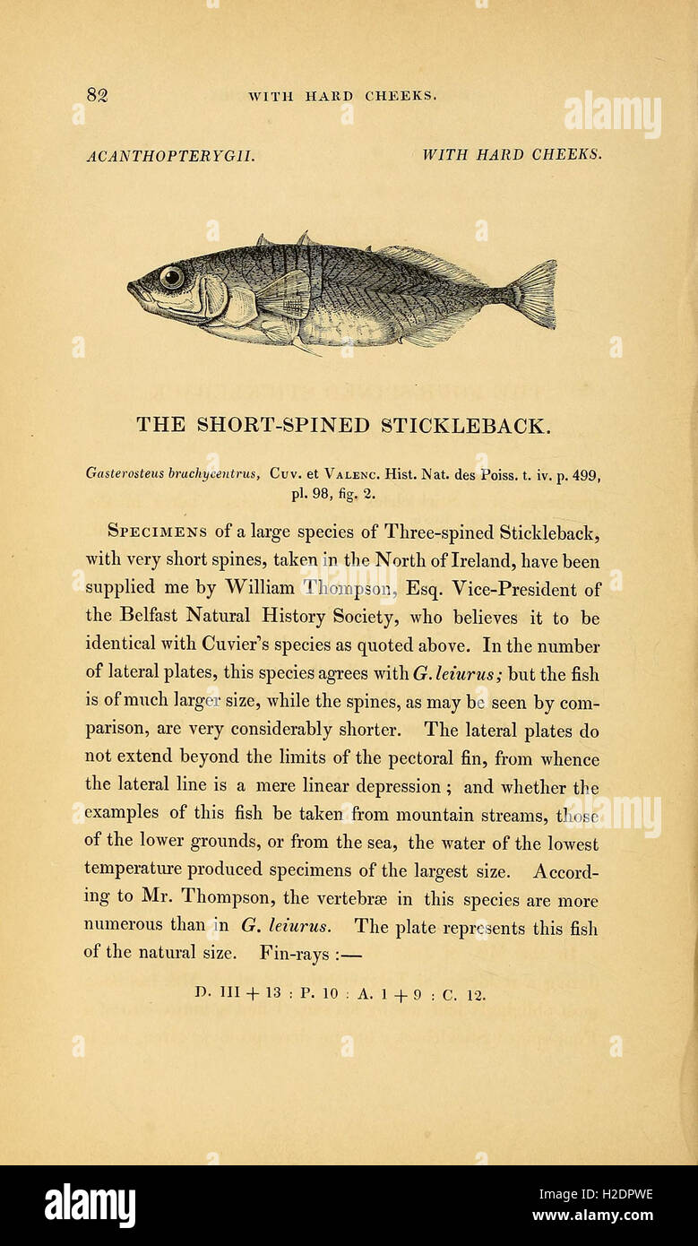 This work provides an in-depth history and classification of British ...