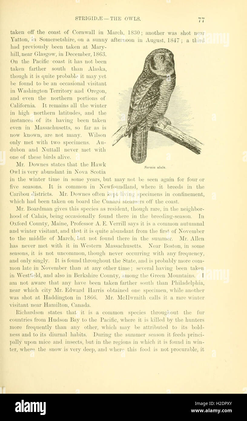 An informative history of bird species native to North America ...