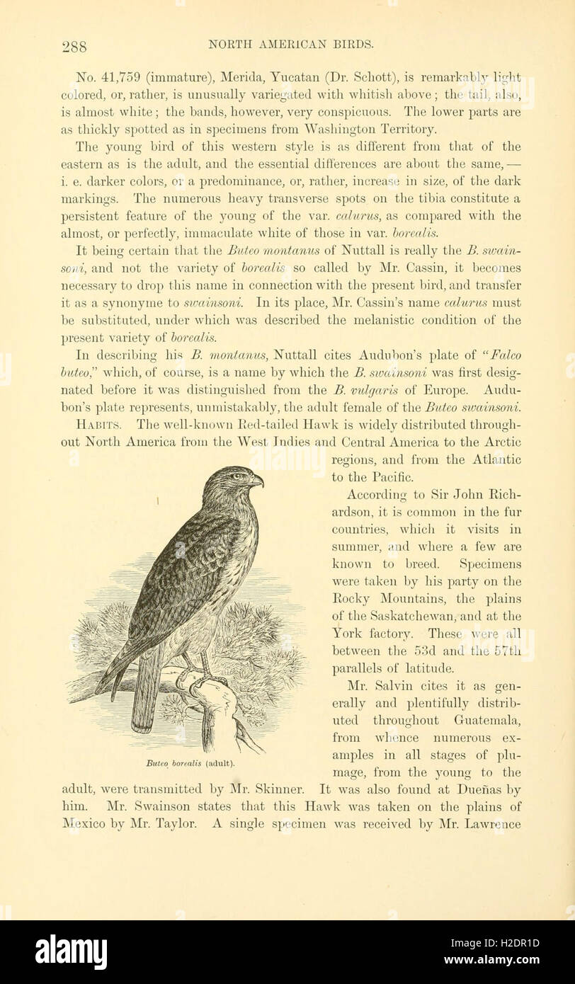 A comprehensive history of bird species in North America, documenting ...
