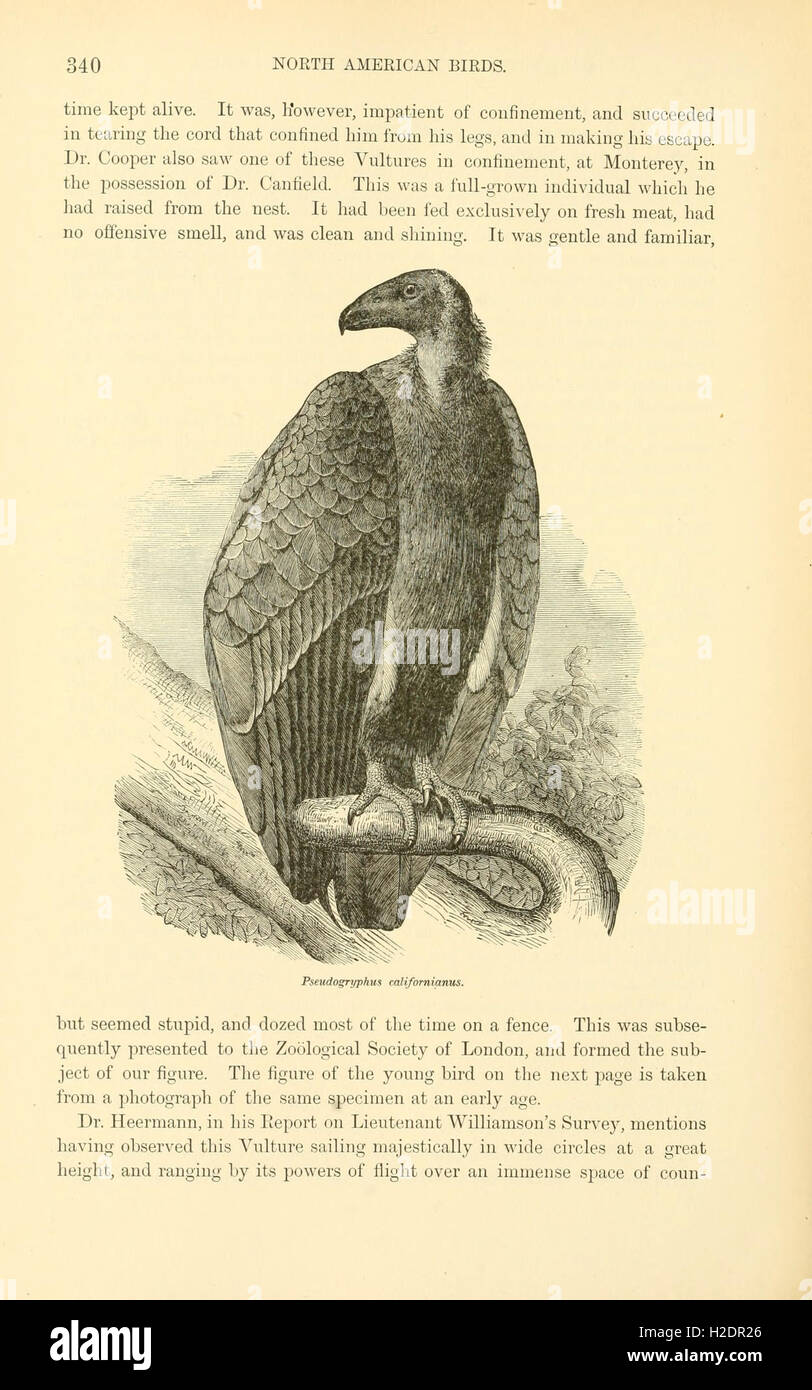 A historical account of bird species found in North America, exploring ...
