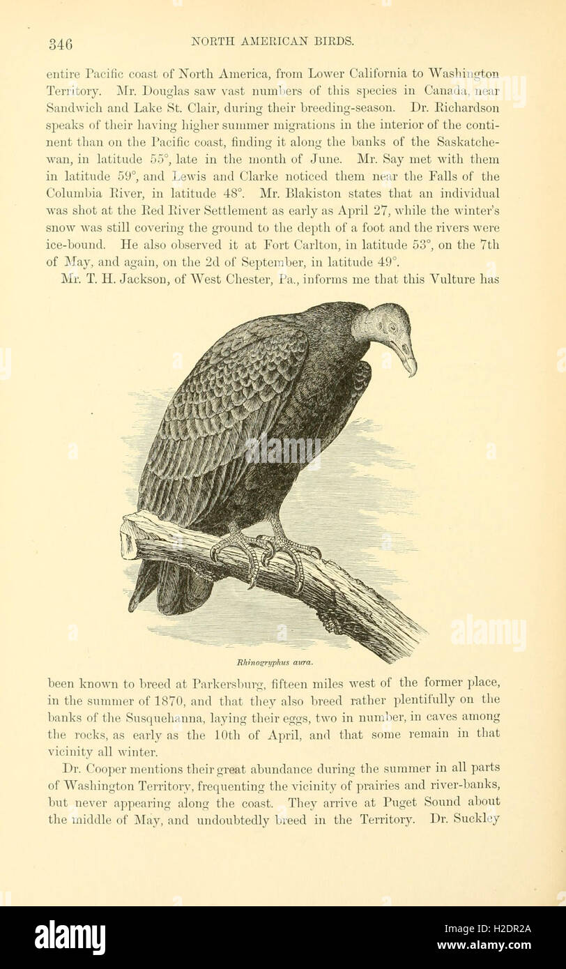 An extensive history of bird species native to North America, focusing ...
