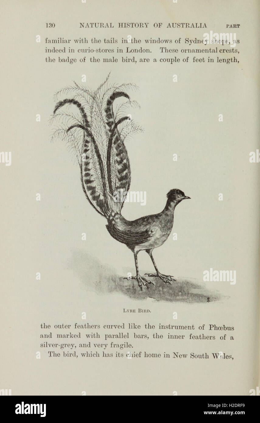 An overview of Australia's natural history, covering its unique flora ...