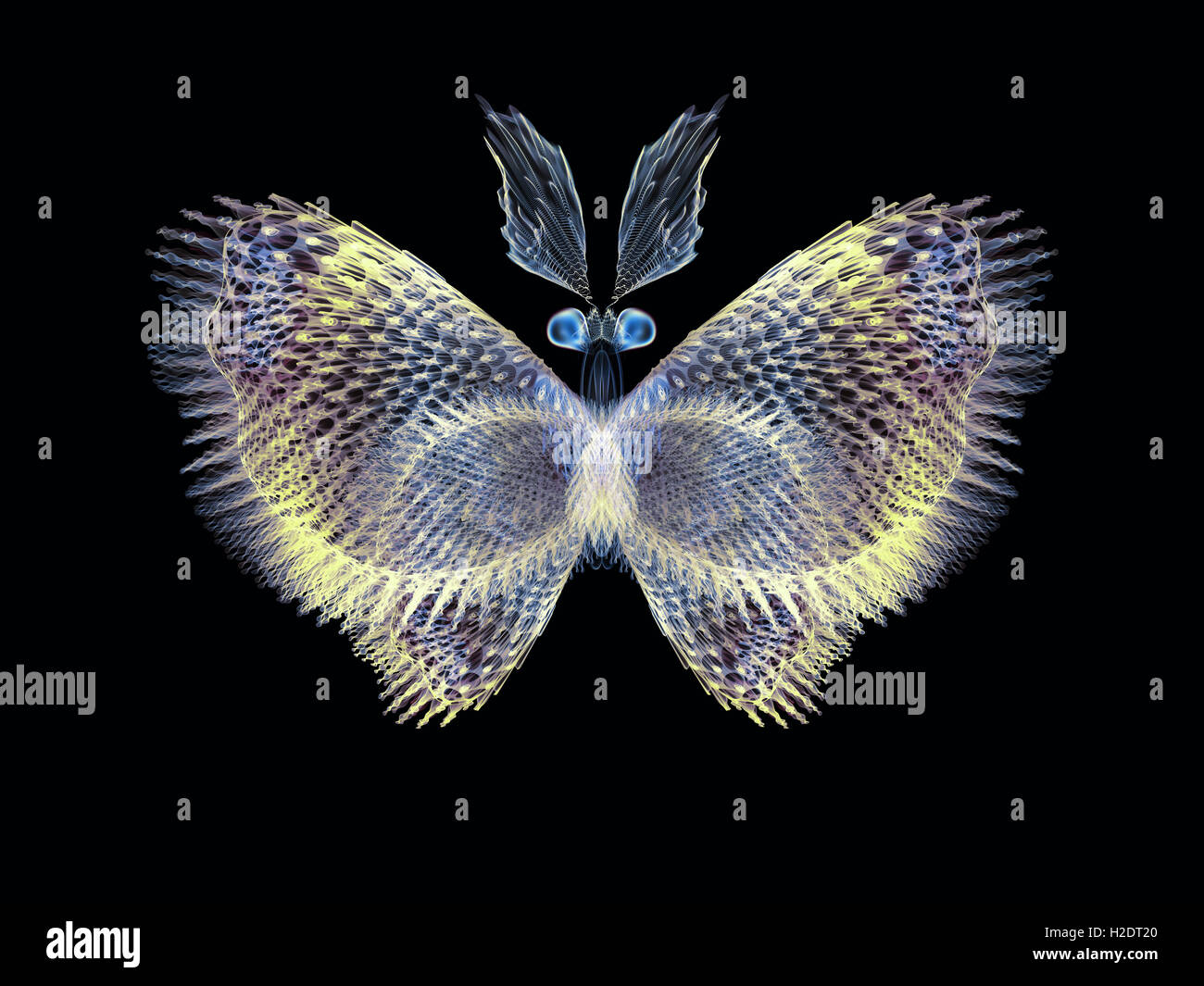 Illusion of Butterfly Stock Photo - Alamy