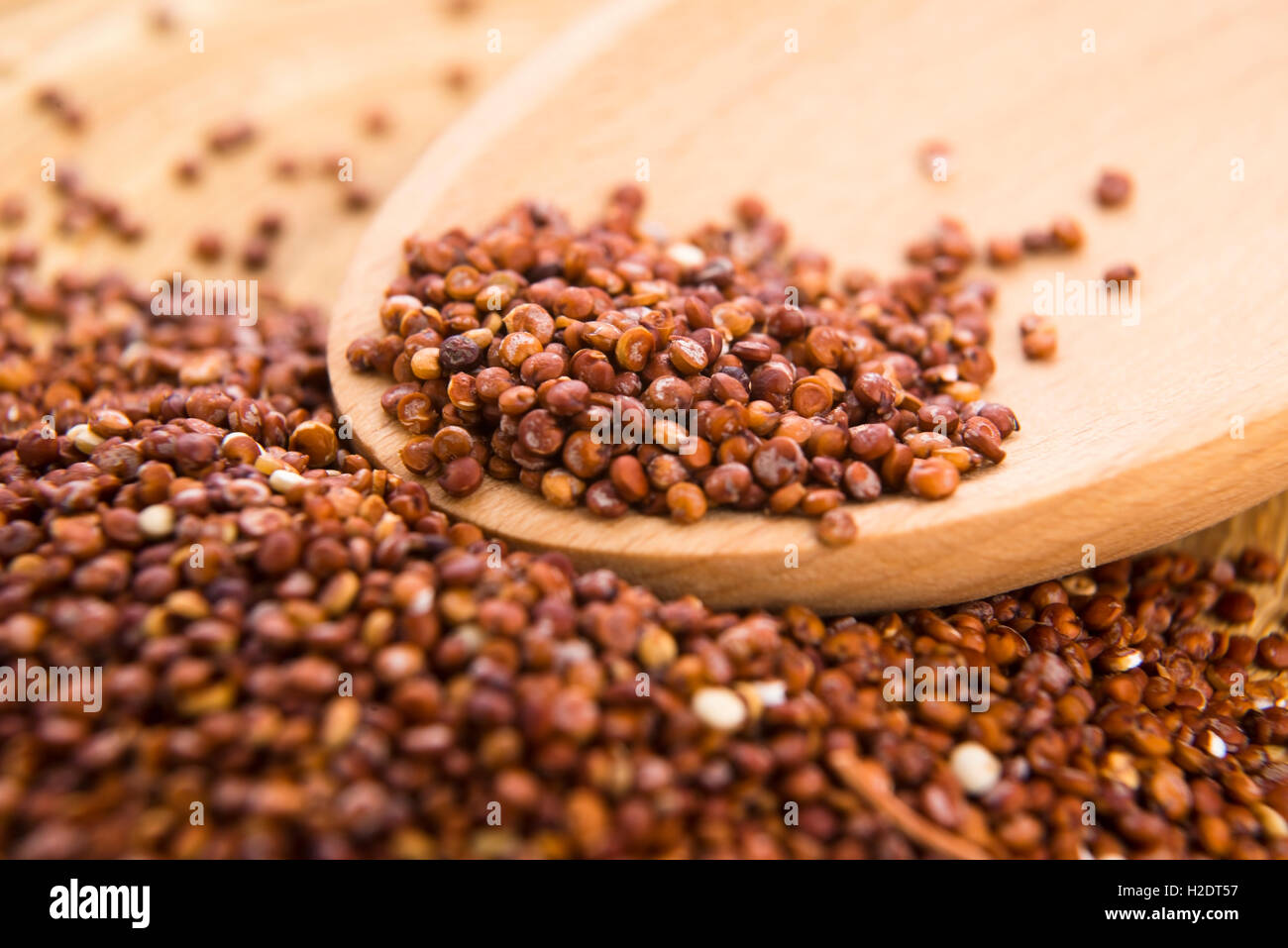 Red Quinoa grain Stock Photo - Alamy