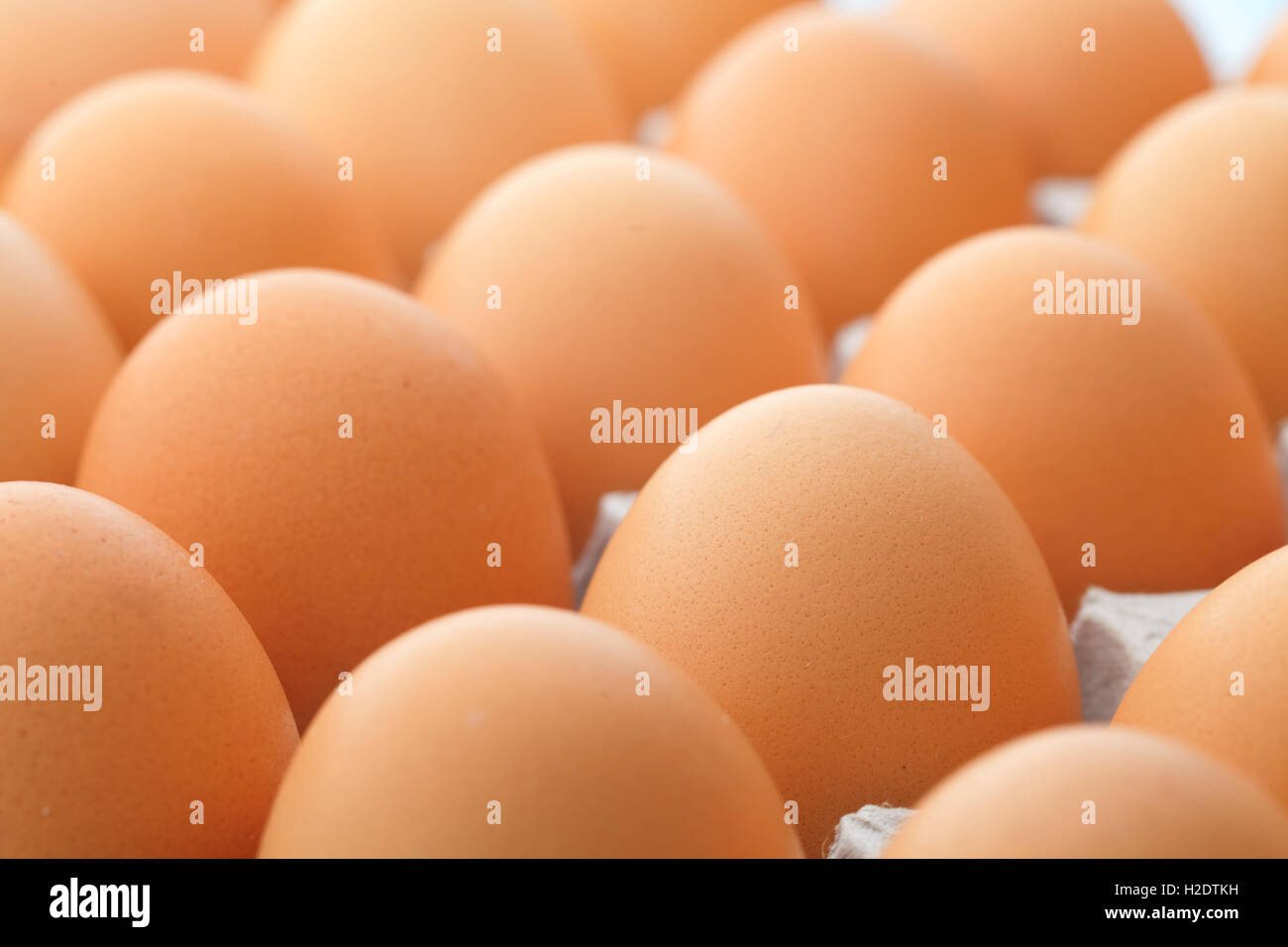 Egg close up Stock Photo - Alamy