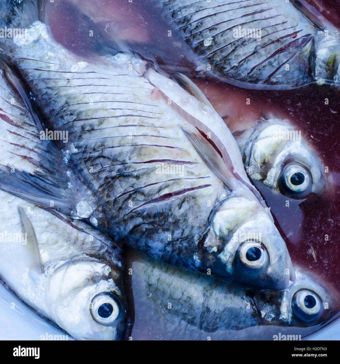 die fish in thailand Stock Photo - Alamy