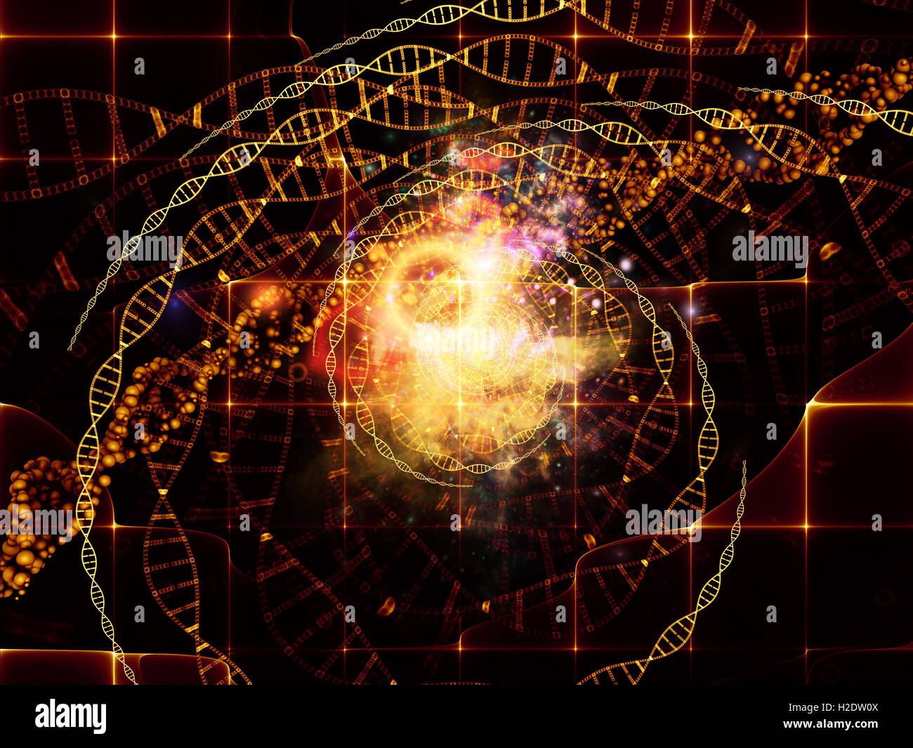 Elements of Microcosm Stock Photo - Alamy