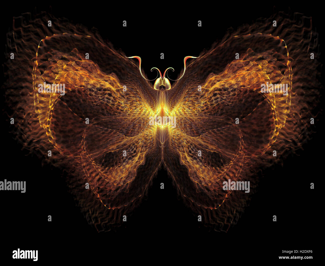 Magic of Butterfly Stock Photo - Alamy