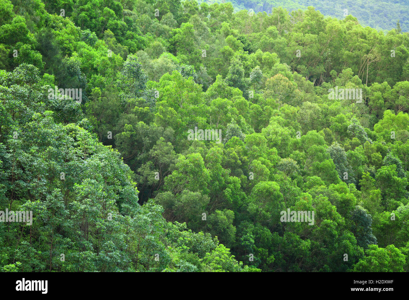 Top view of green mountains hi-res stock photography and images - Alamy