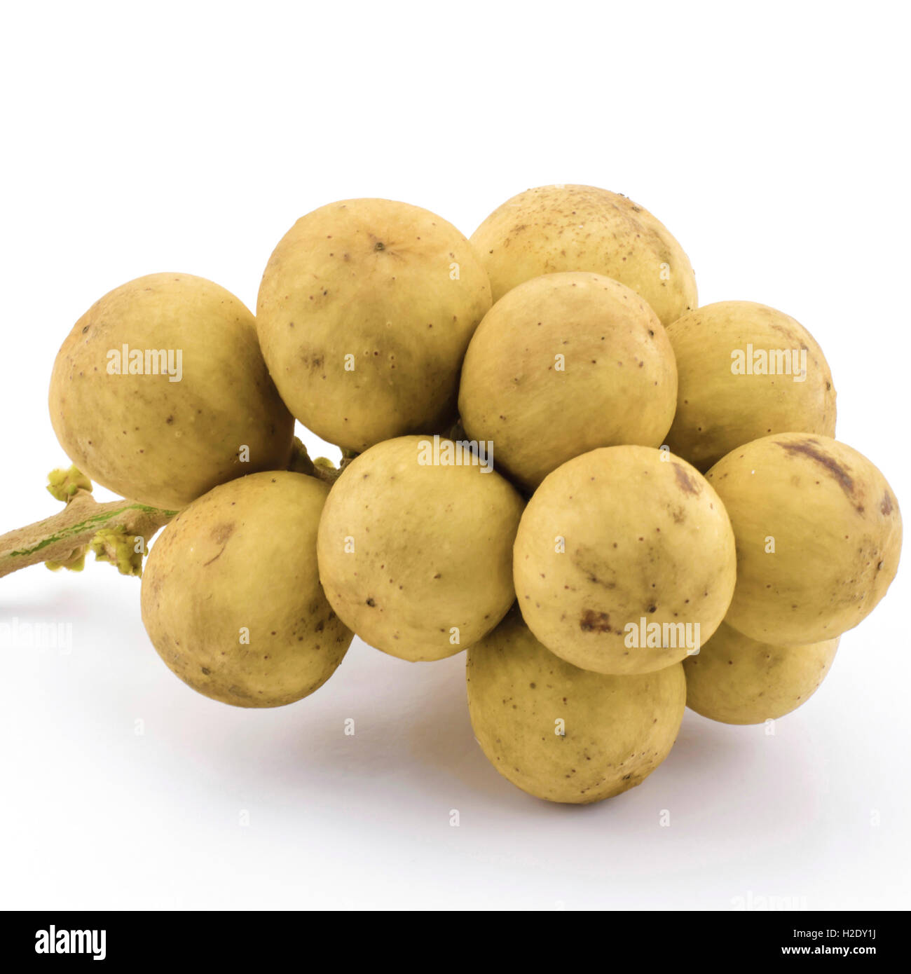 Lansium domesticum isolated on white Stock Photo - Alamy