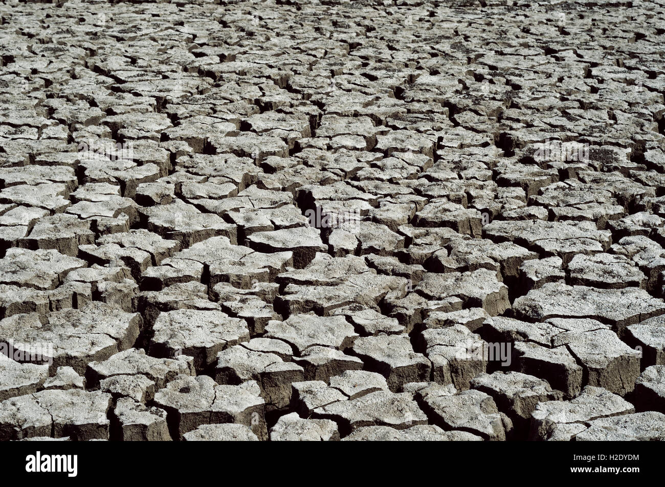 cracked earth as textured background Stock Photo - Alamy
