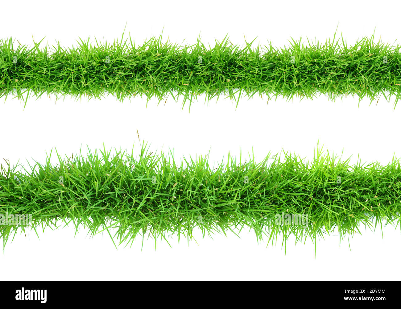 Grass top view Cut Out Stock Images & Pictures - Alamy