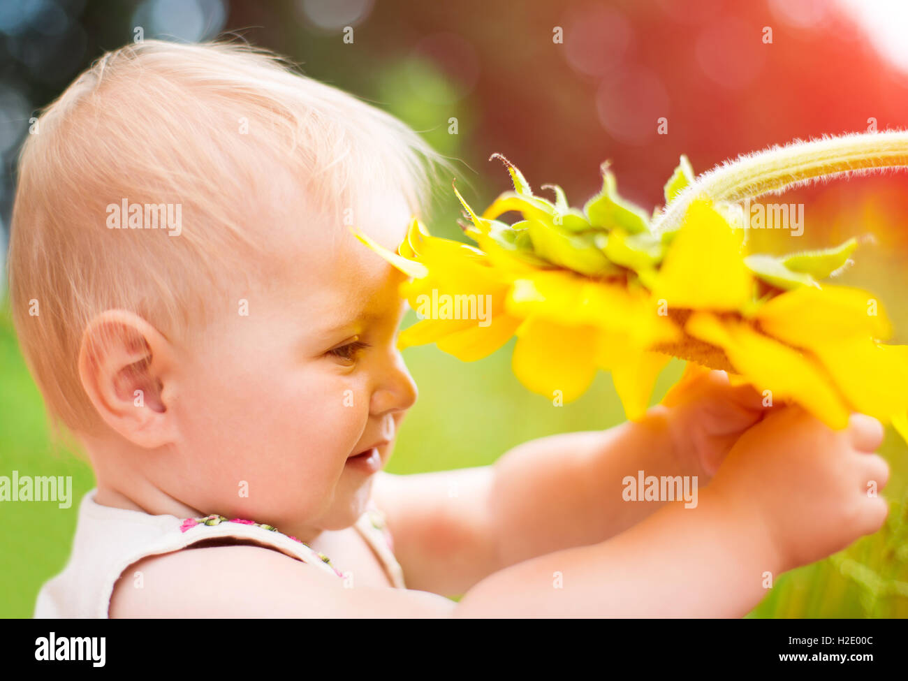 Child baby sunflower flower hi-res stock photography and images - Alamy