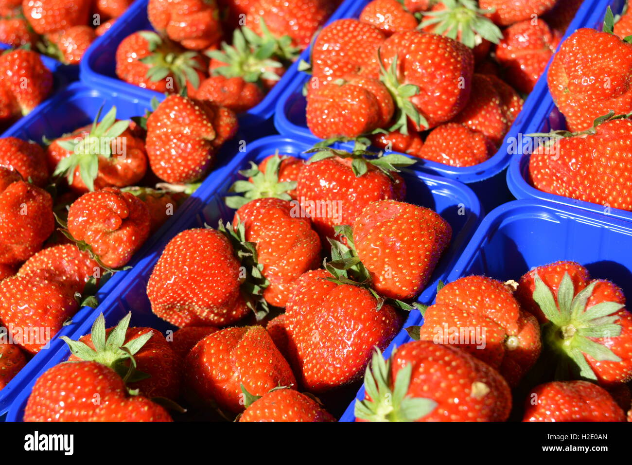 Strawberries market hi-res stock photography and images - Alamy