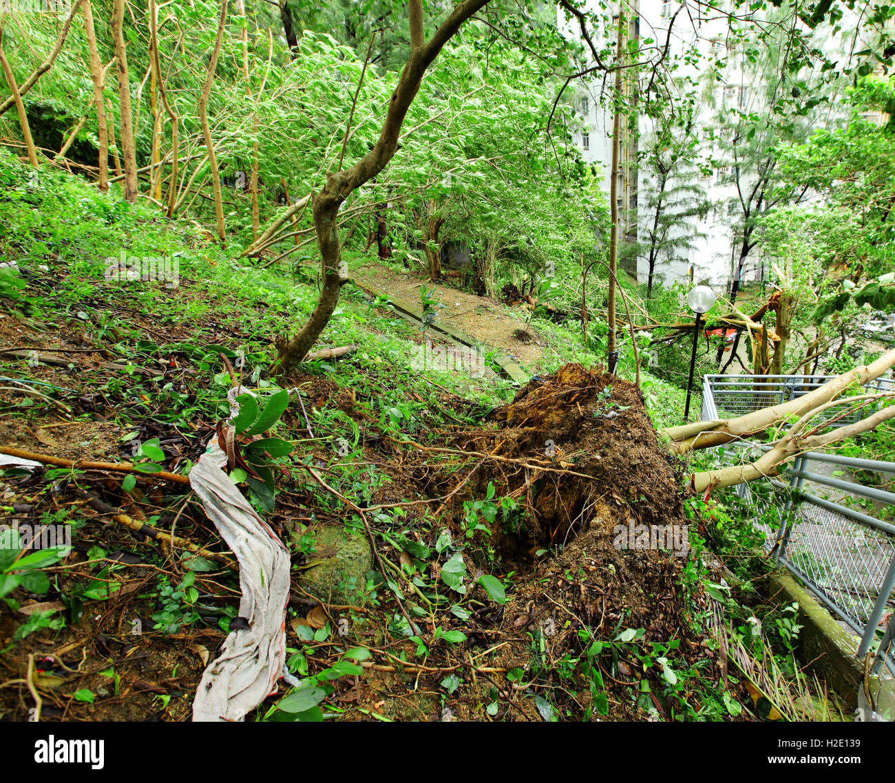 Damage after typhoon Stock Photo - Alamy