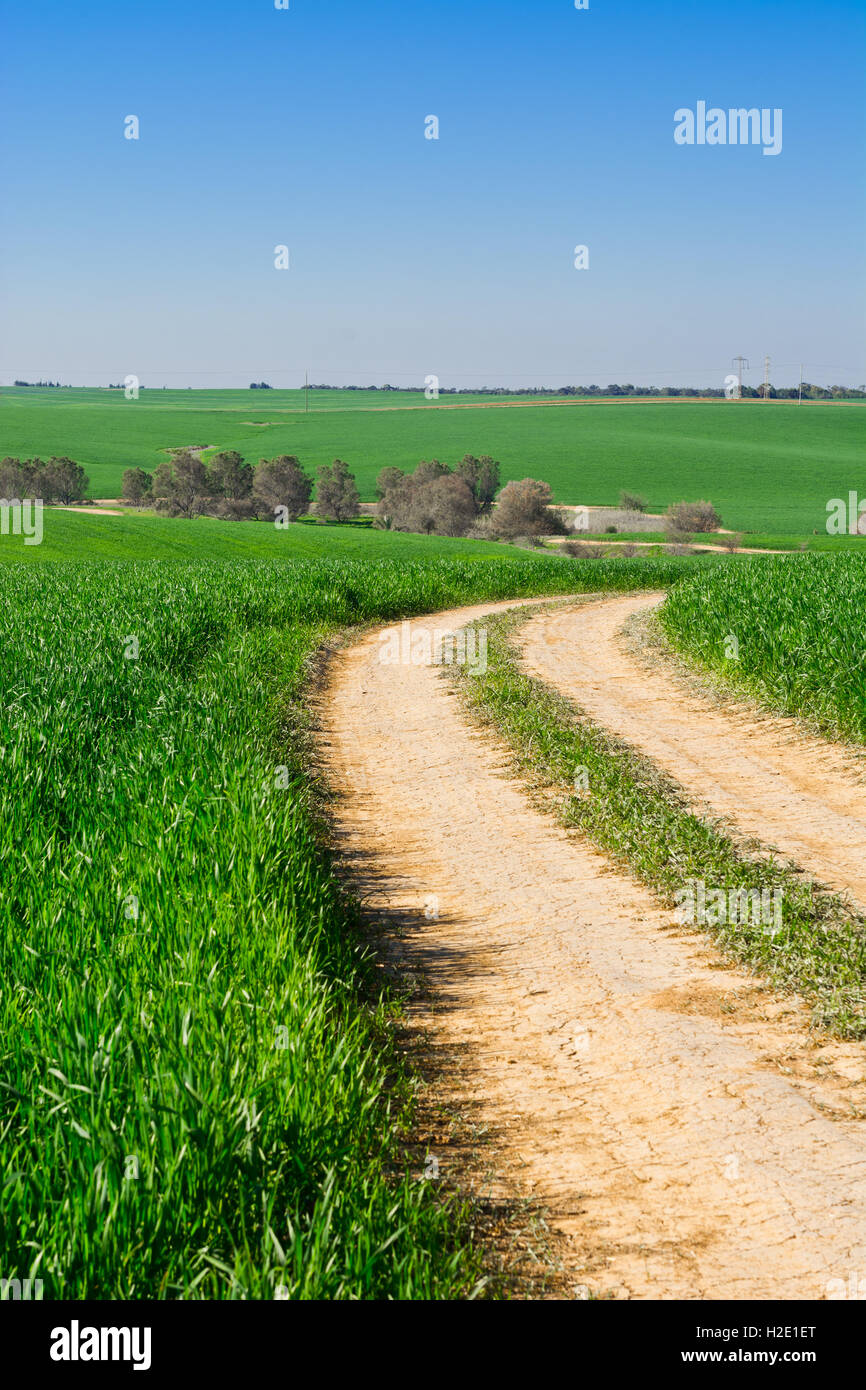 Palestine road horizon hi-res stock photography and images - Alamy
