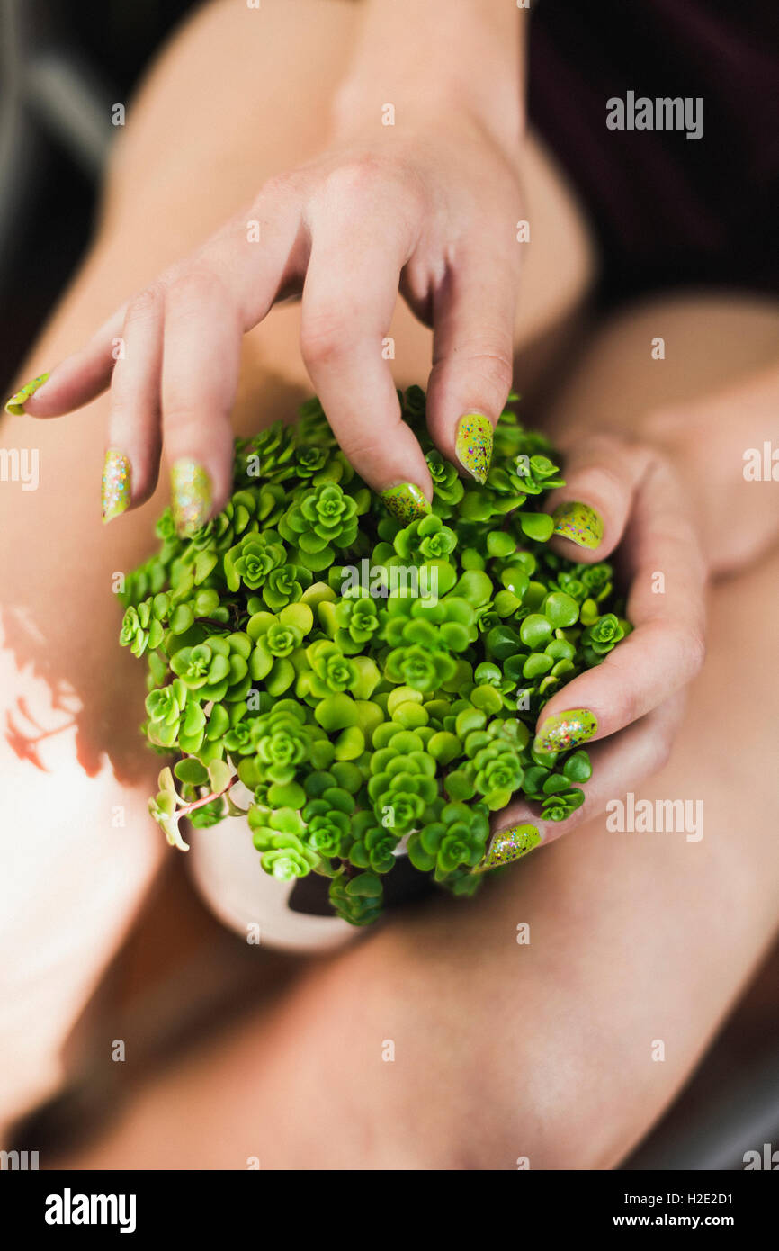 hands holding a pot plant Stock Photo - Alamy