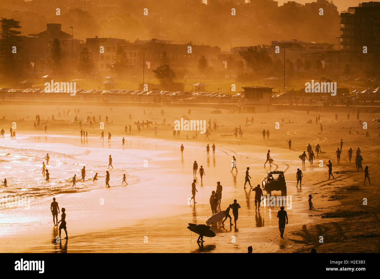 Bondi Beach Golden sunset Stock Photo - Alamy