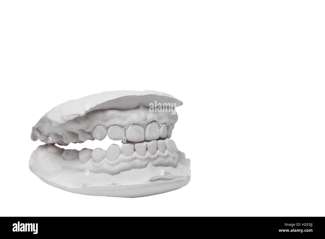 Mould of human teeth isolated on white background Stock Photo - Alamy