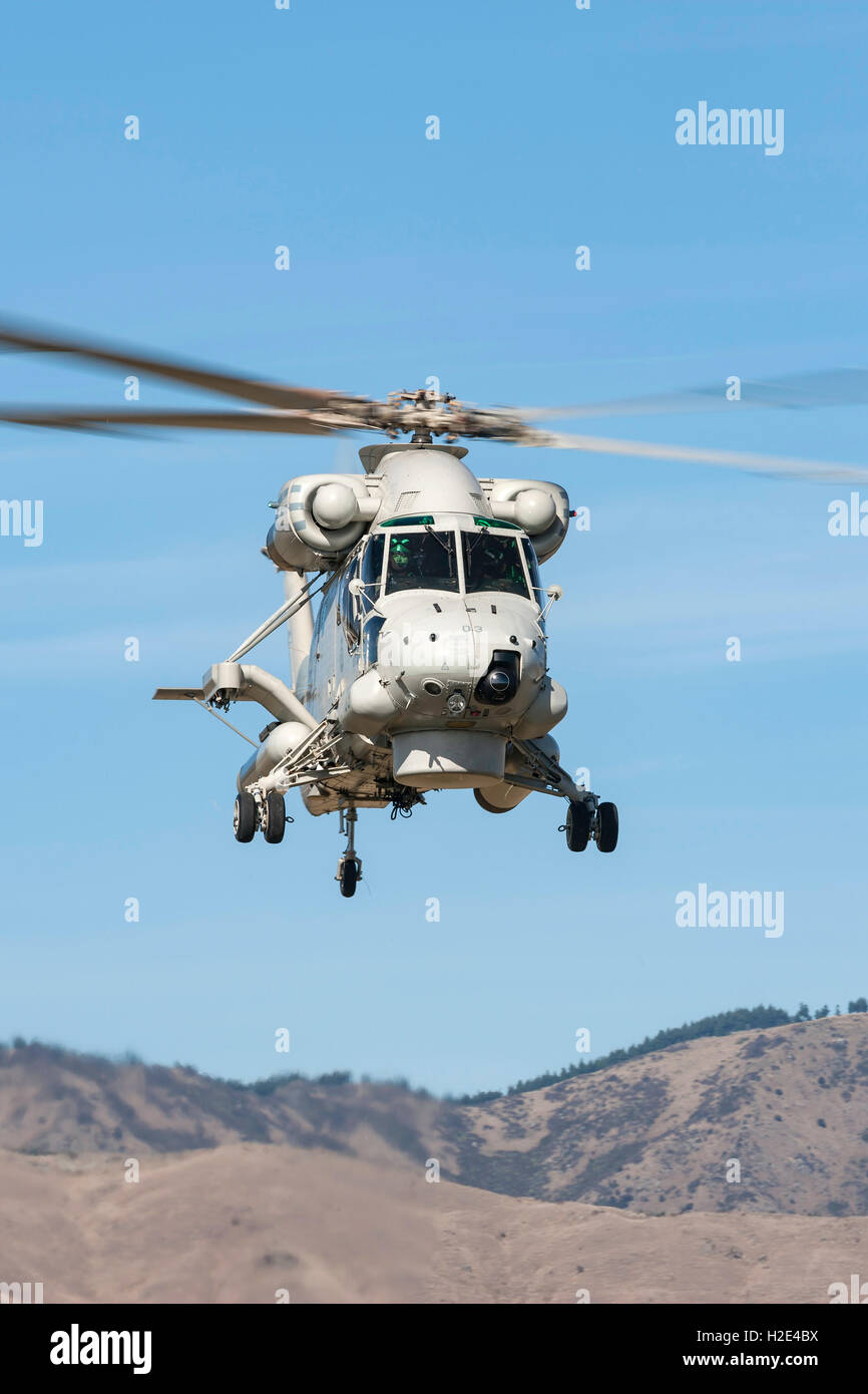 Sh 2 Seasprite High Resolution Stock Photography and Images - Alamy