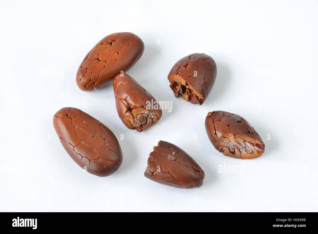 Cacao, Chocolate Nut Tree (Theobroma cacao). Toasted cacao seeds (cacao ...