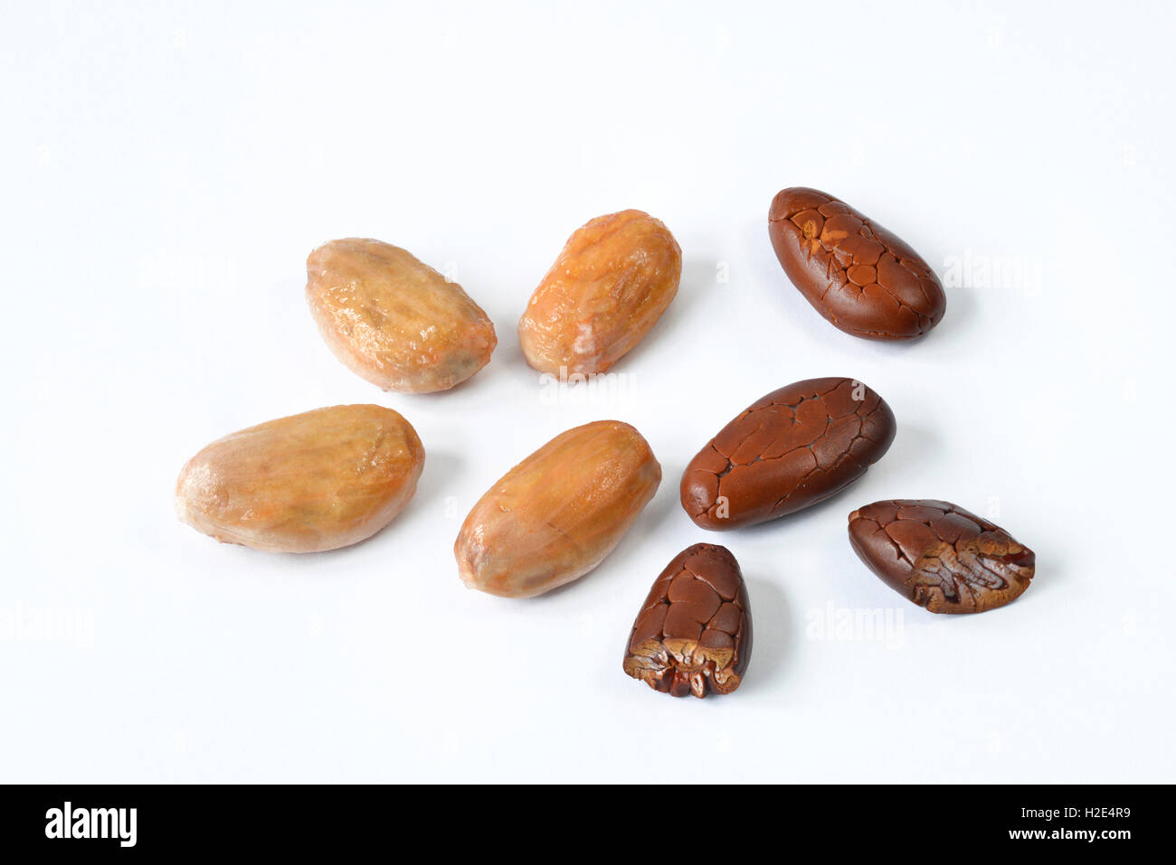 Cacao, Chocolate Nut Tree (Theobroma cacao). Toasted cacao seeds (cacao ...