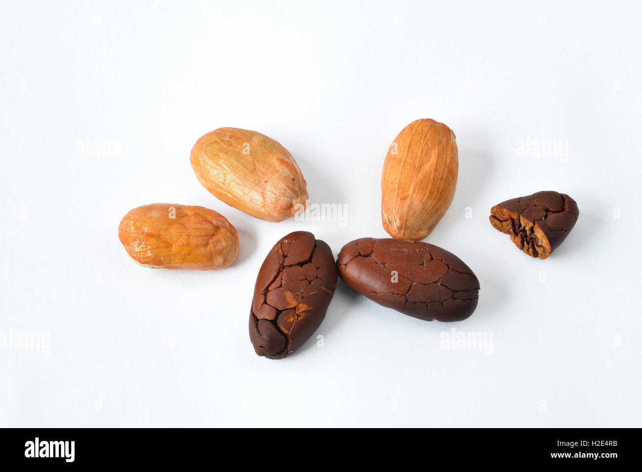 Cacao, Chocolate Nut Tree (Theobroma cacao). Toasted cacao seeds (cacao ...