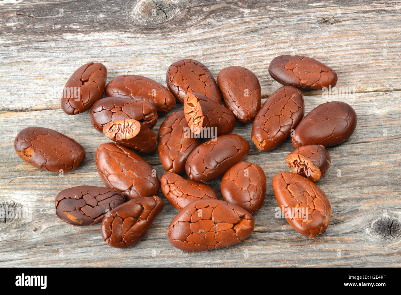 Cacao, Chocolate Nut Tree (Theobroma cacao). Toasted cacao seeds (cacao ...