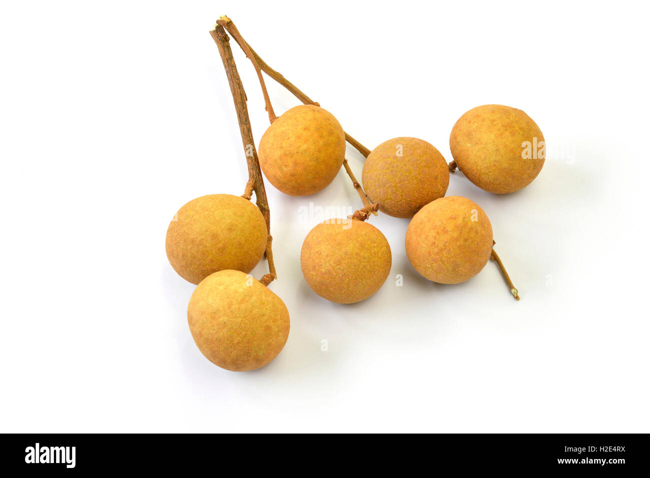 Longan (Dimocarpus longan). Fruit. Studio picture against a white ...