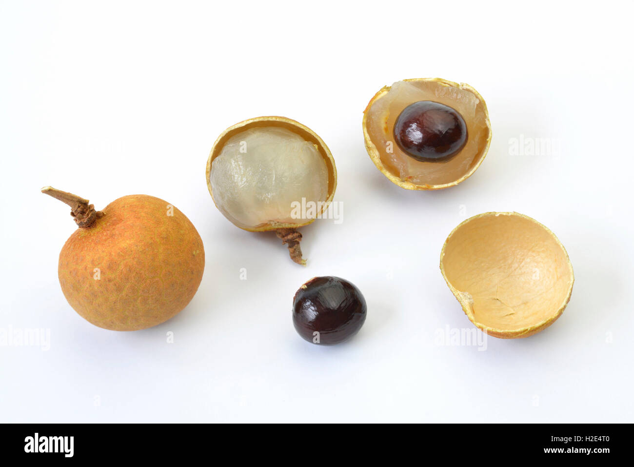 Longan (Dimocarpus longan). Whole and opened fruit. Studio picture ...