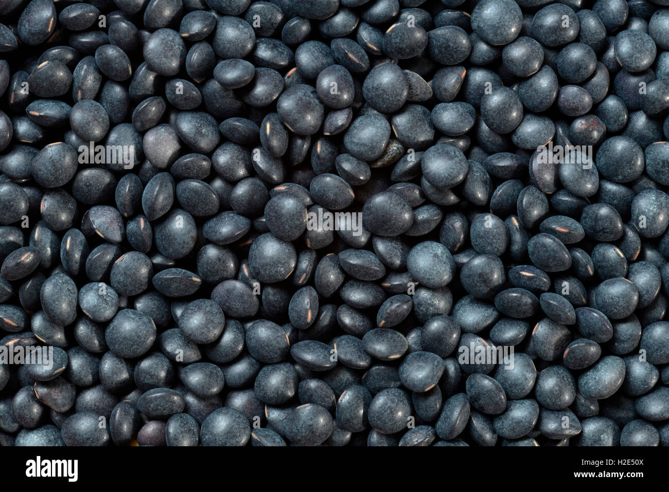 Beluga lentil lens hi-res stock photography and images - Alamy