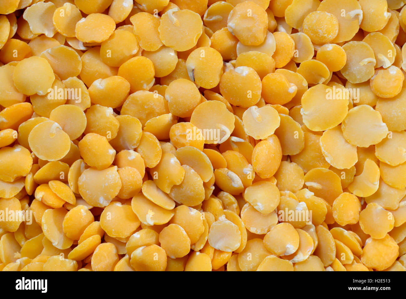 Yellow Lentil (Lens culinaris). Dried lentils, split and without skin ...
