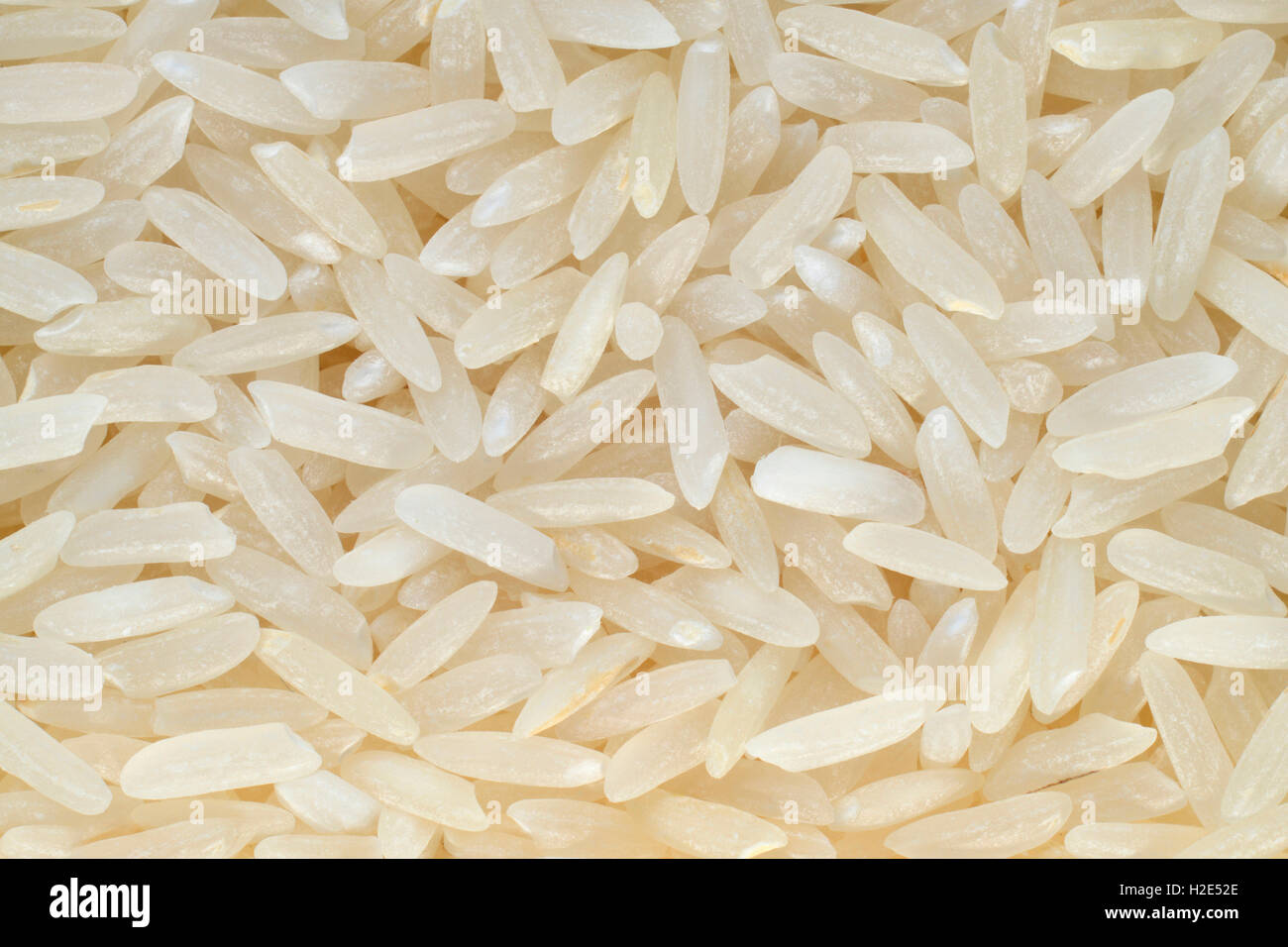 Patna Rice (Oryza sativa), grains seen from above. Germany Stock Photo ...