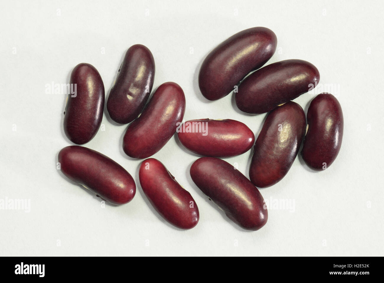 Kidney Bean (Phaseolus vulgaris), dried beans. Studio picture agianst a ...
