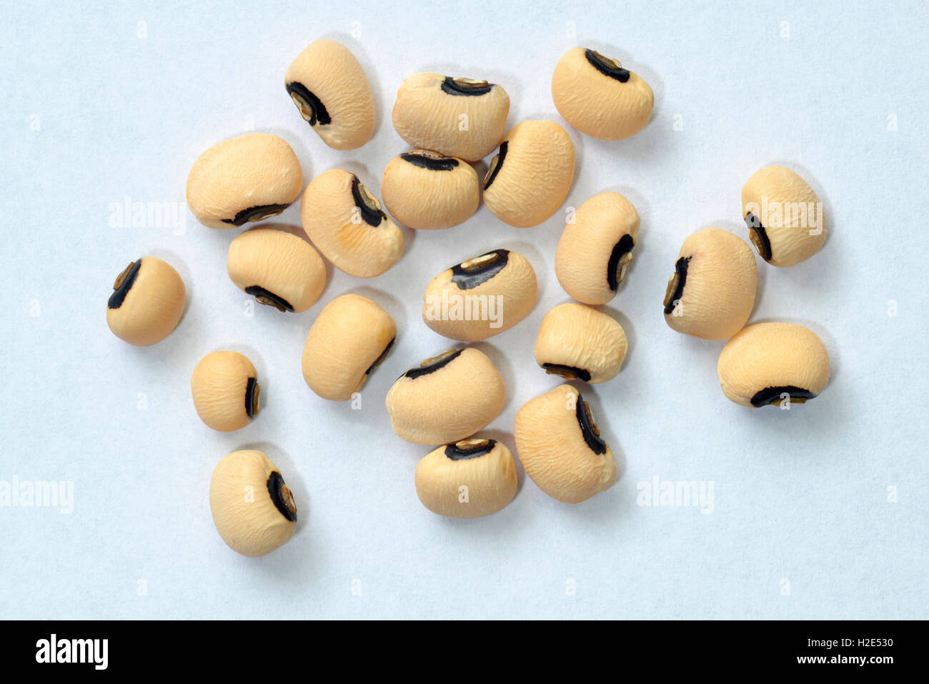 Black eyed pea plant hi-res stock photography and images - Alamy