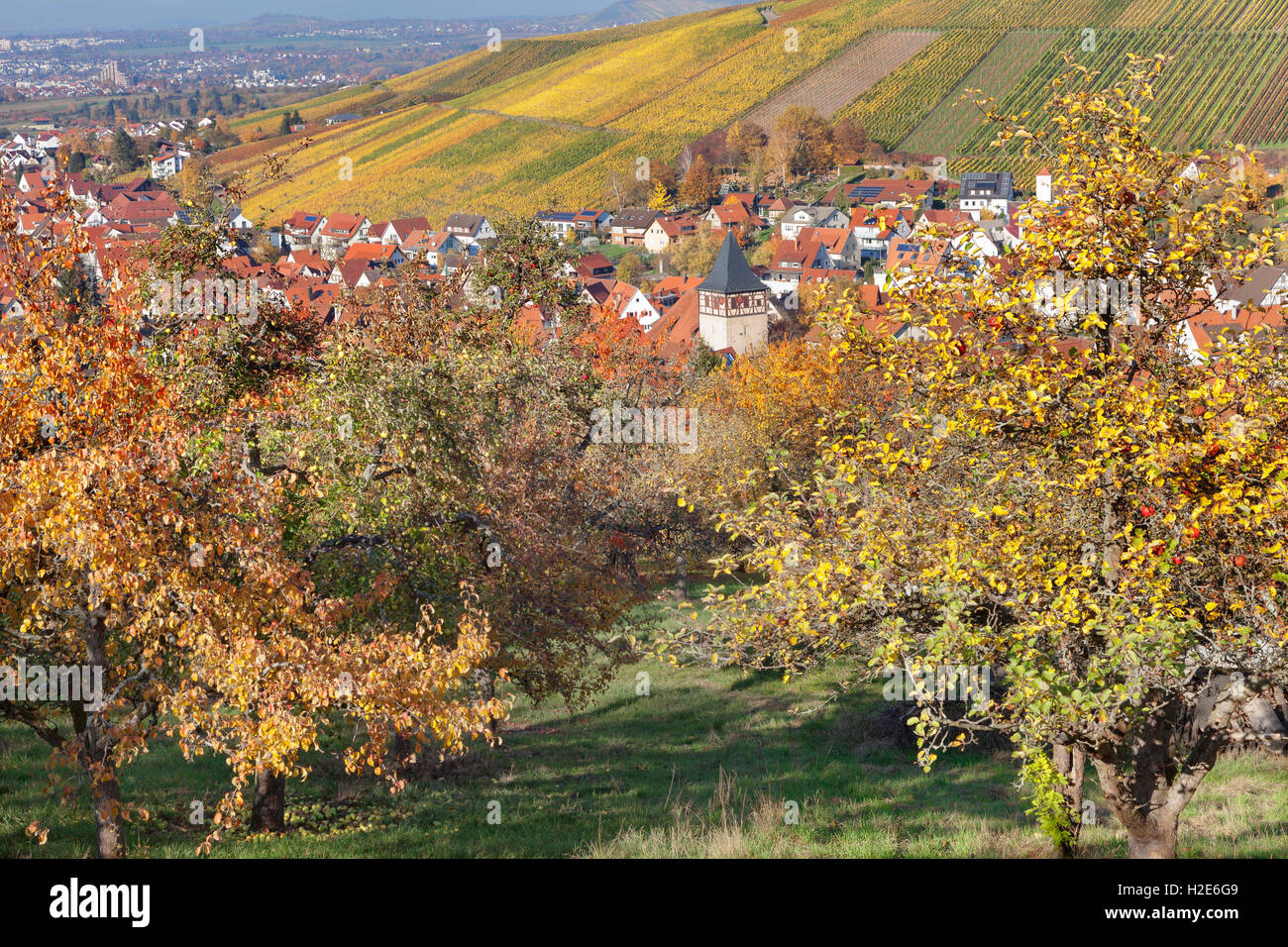 Weinstadt region hi-res stock photography and images - Alamy