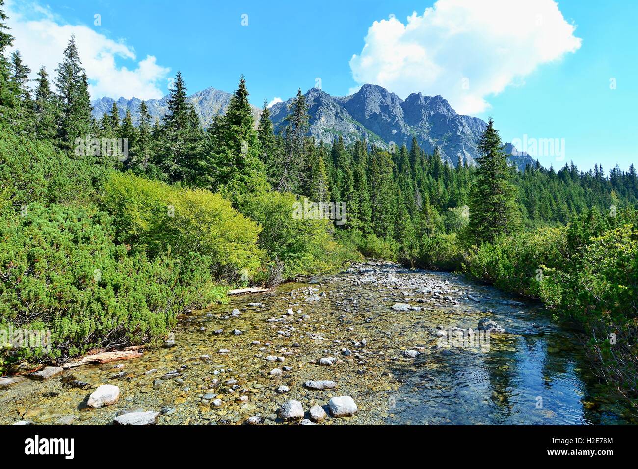 Slovakia high tatra hi-res stock photography and images - Alamy