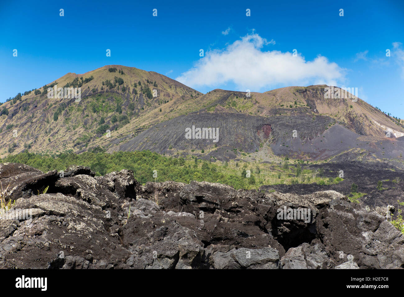 Indonesia, Bali, Kedisan, Gunung Batur, lava flow from 1974 eruption ...