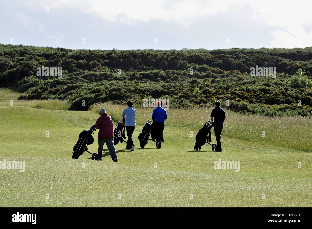 Golfcourse in Scotland | usage worldwide Stock Photo - Alamy