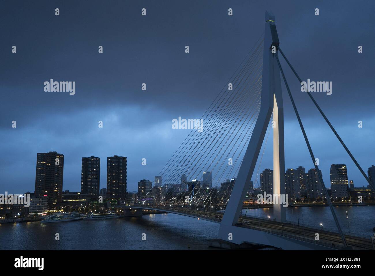 Erasmus bridge rotterdam 2016 hi-res stock photography and images - Alamy