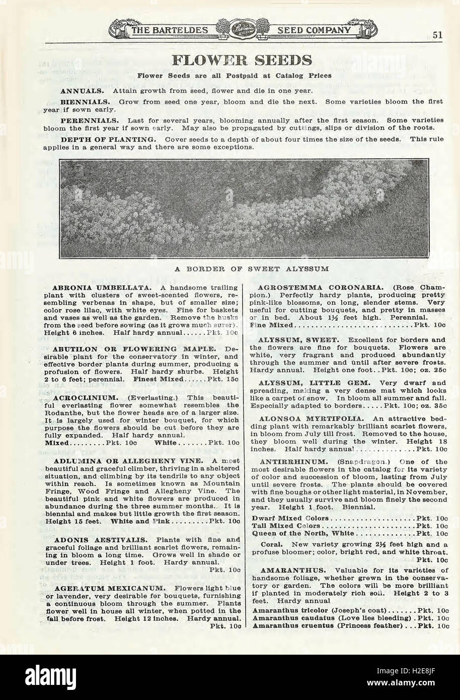 This reference work focuses on the various types of seeds produced by ...