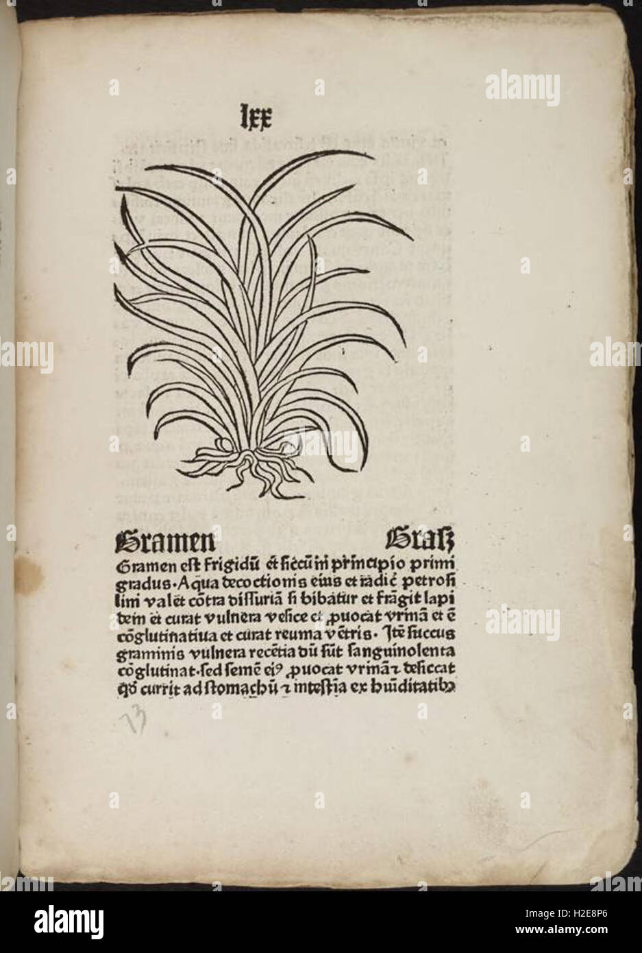 This Latin text discusses medical remedies and their preparation for ...