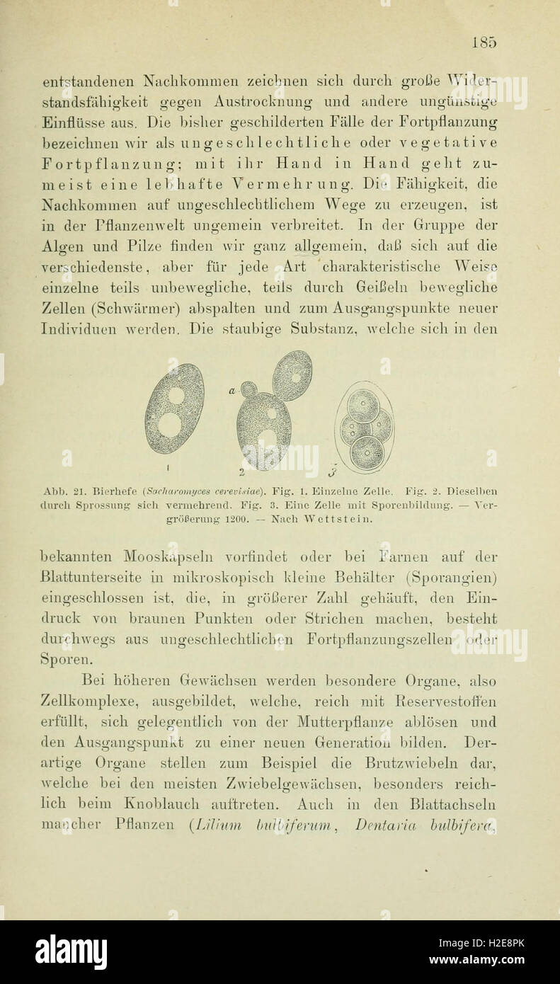 This work by Julius Sachs explores the structure and life processes of ...